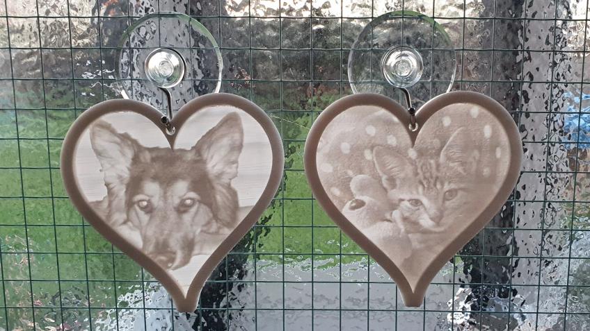 Help me fund my new journey - a Business crowdfunding project in Bury ...