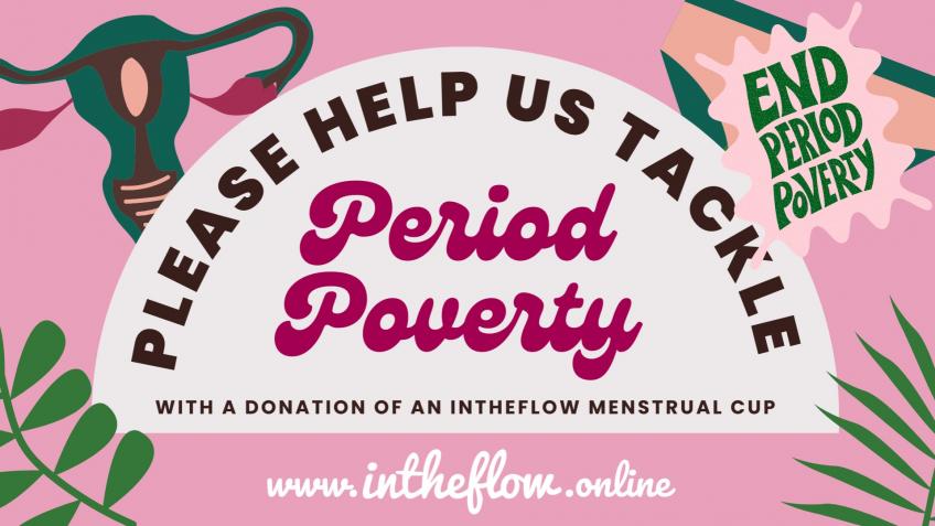 Donate a Menstrual Cup To Tackle Period Poverty - a Community ...