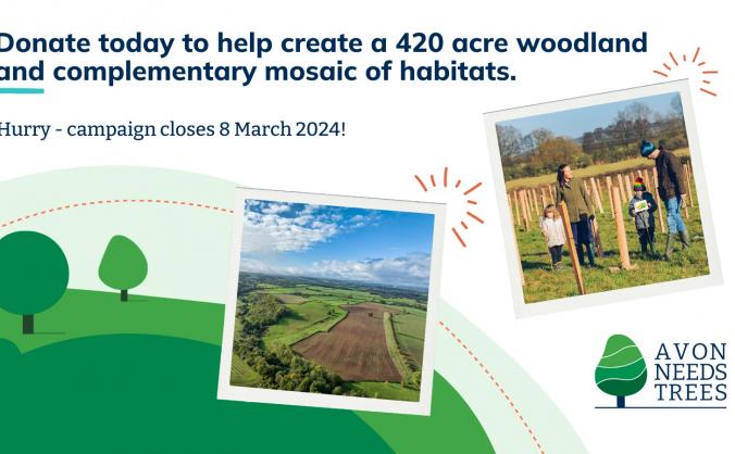 AVON NEEDS TREES - a Environment crowdfunding project in Bristol by ...