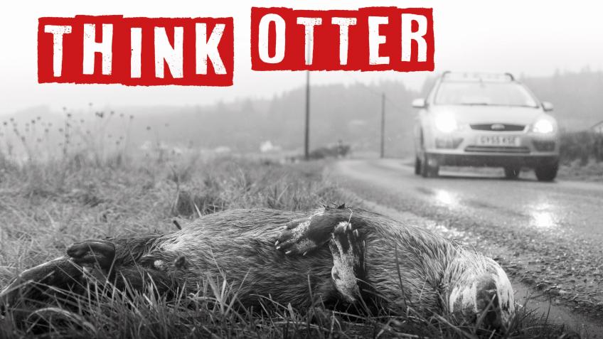 Think Otter Campaign - a Personal Causes crowdfunding project in United ...