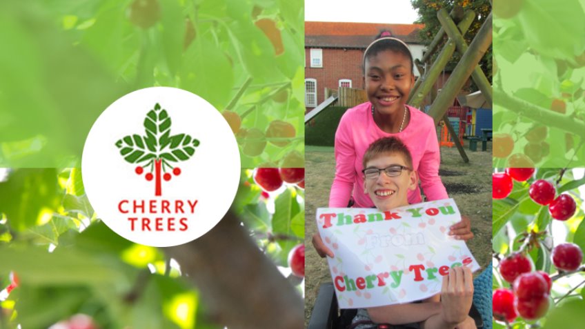 Cherry Trees Crowdfunding - a Charities crowdfunding project in ...
