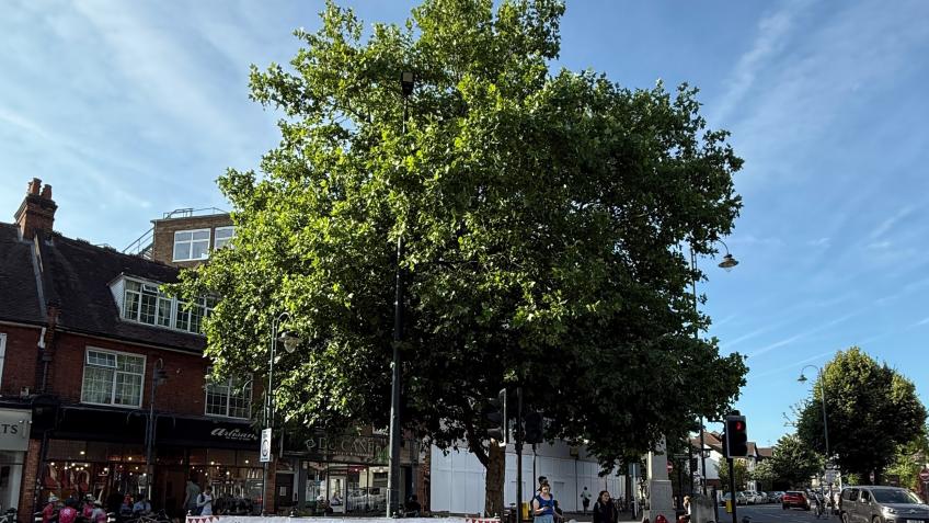 Light Up Milestone Green, The Heart of East Sheen - a Community ...