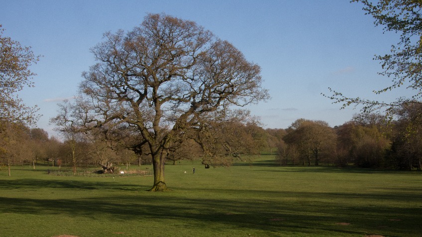 Bramcote Hills Park Community Cafe - a Community crowdfunding project ...