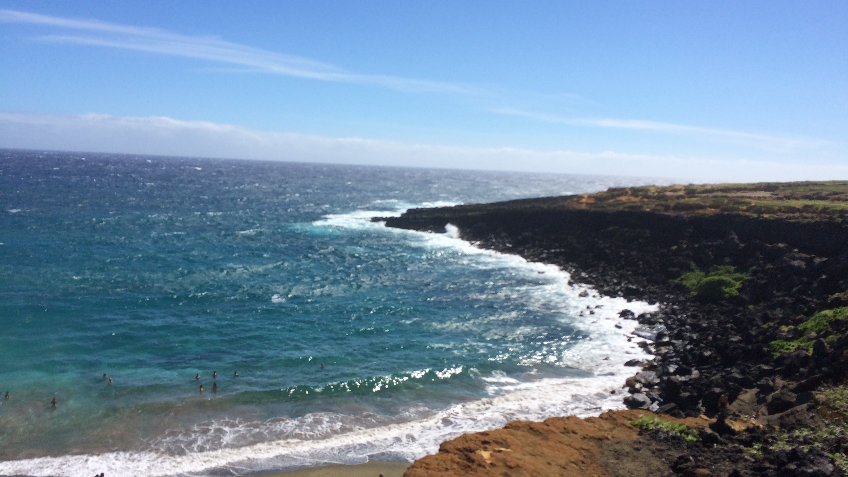 Wholesome Goodness - a Community crowdfunding project in Berlin by ...