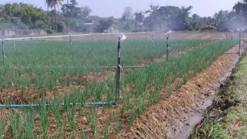 Lebanon Irrigation System
