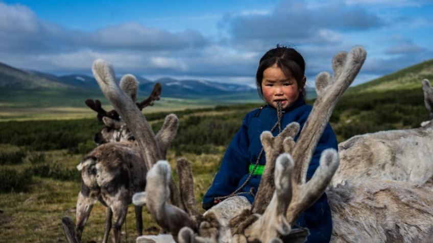 Fund my trip to visit the Dukha tribe in Mongolia - a crowdfunding ...
