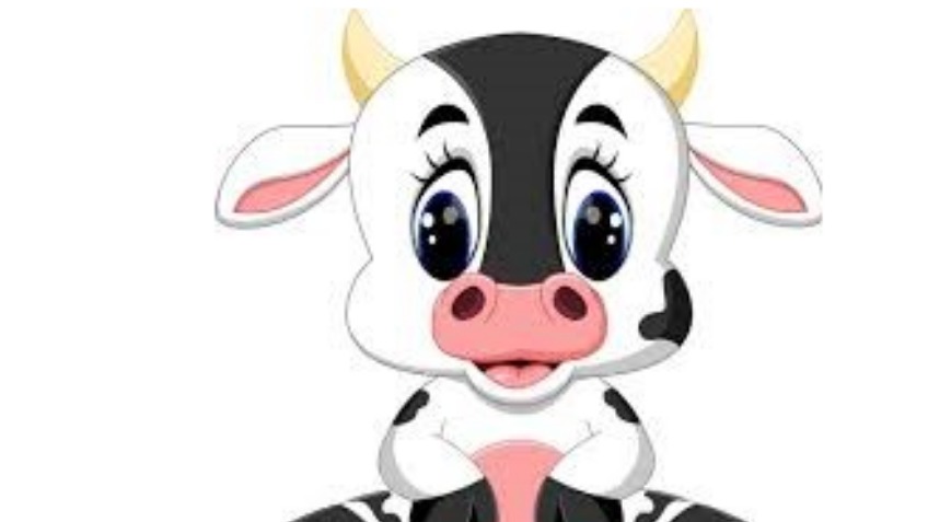 udderly amazing - a Business crowdfunding project in Great Houghton by ...
