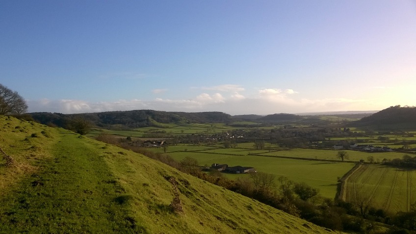 Protect the butterflies of the Polden Hills - a crowdfunding project in ...
