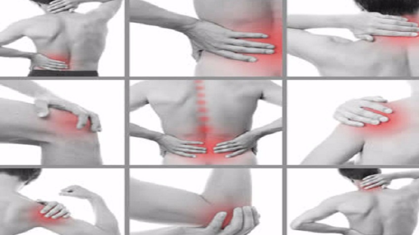Sports Massage Training Course A Business Crowdfunding Project In sports-massage-training-course-a-business-crowdfunding-project-in