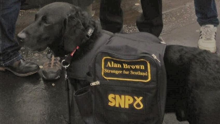 Re Elect Alan Brown As Mp For Kilmarnock And Loudoun A Politics