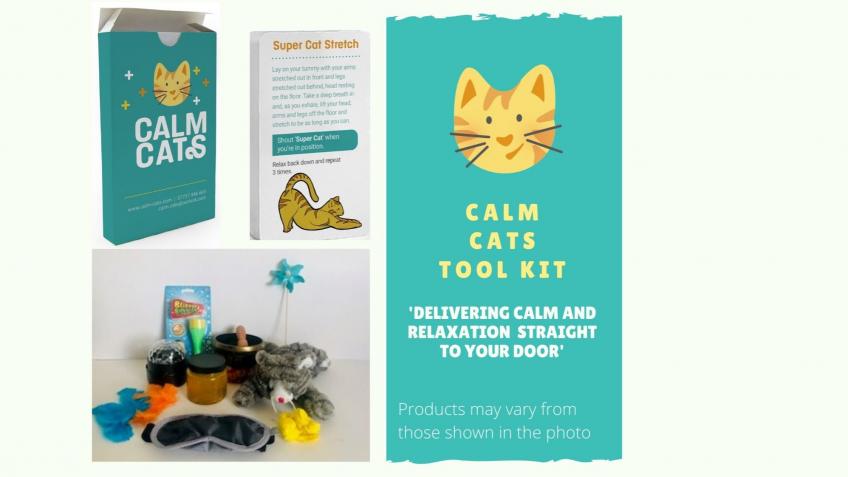Calm Cats Wellbeing 'Tool Kit' For Children - a Social Enterprise ...