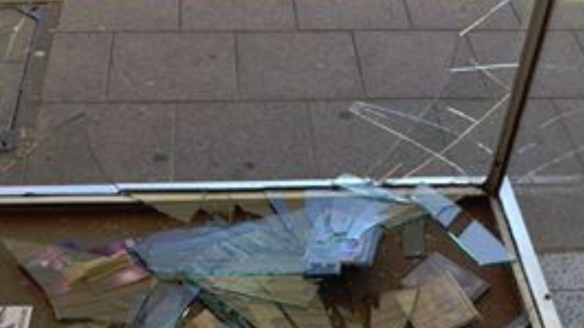 Repair the Notorious Aardvarks Big Window ! - a Creative & Arts ...