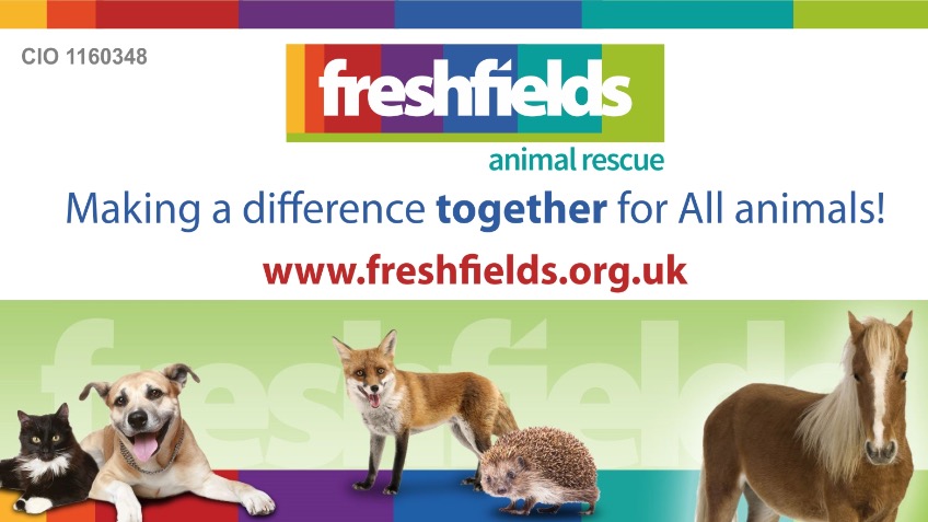 On-Site Vet Room - a Charities crowdfunding project in Liverpool by ...