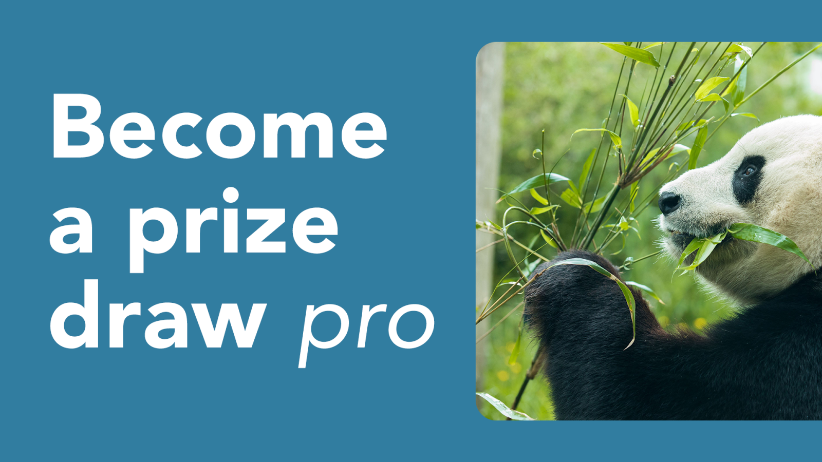 Start a Prize Draw | Enter Prize Draws | Crowdfunder