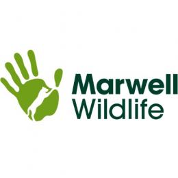 MARWELL WILDLIFE - a Environment crowdfunding project in Winchester by ...